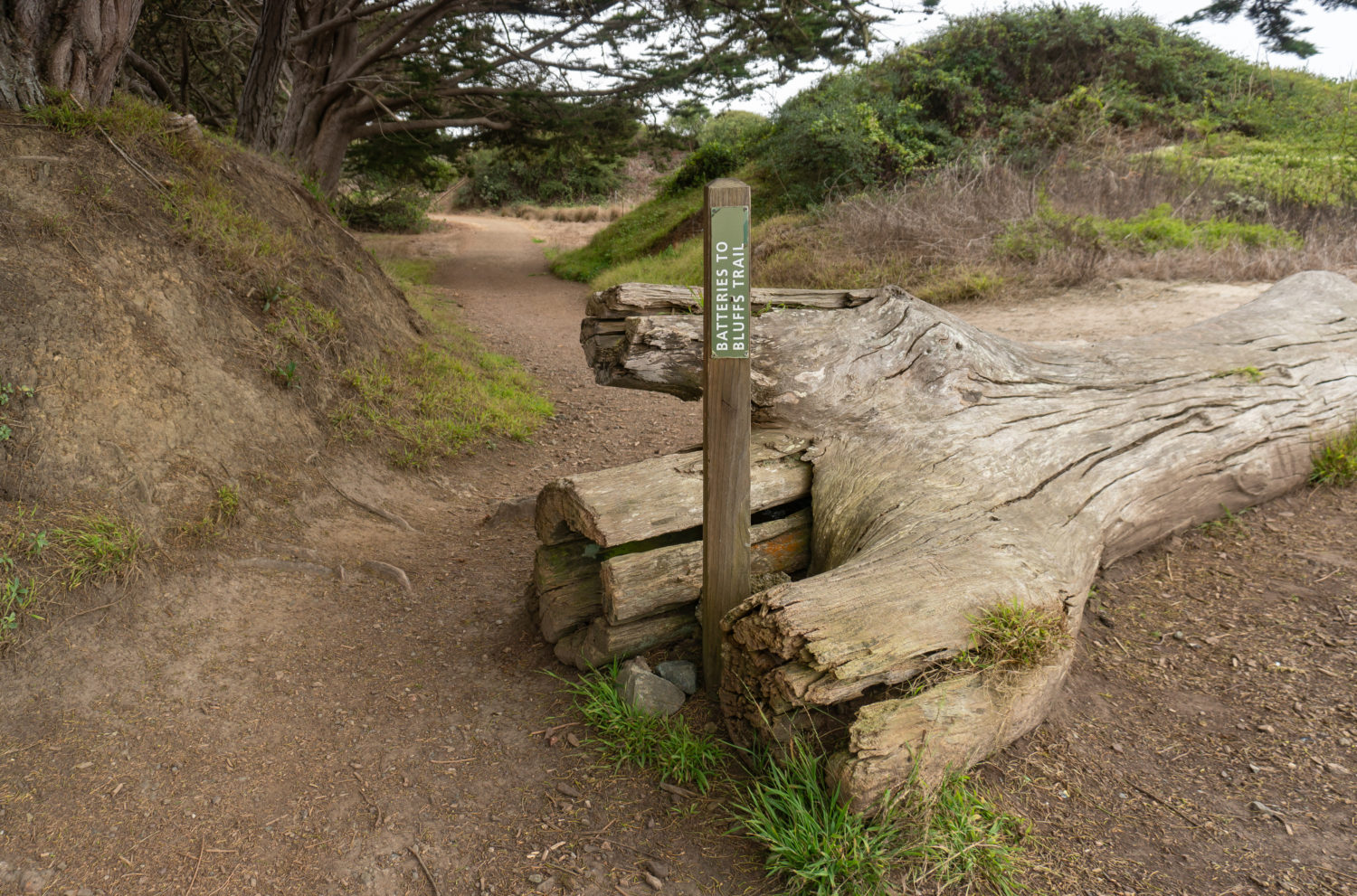 Batteries to Bluffs Trail in the Presidio | Modern Hiker