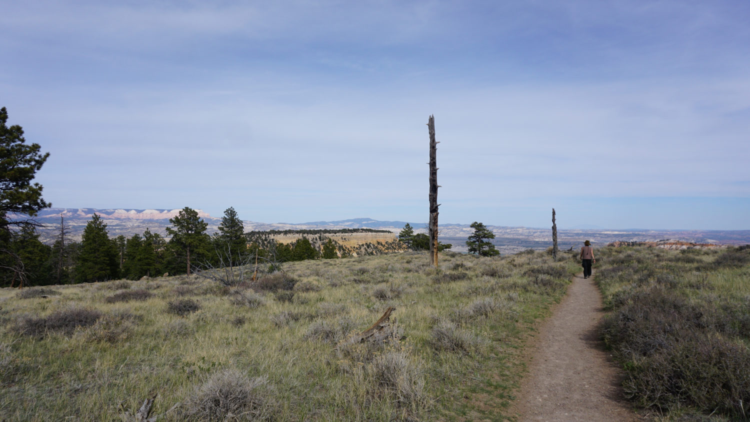 The Fairyland Loop in Bryce Canyon National Park | Modern Hiker