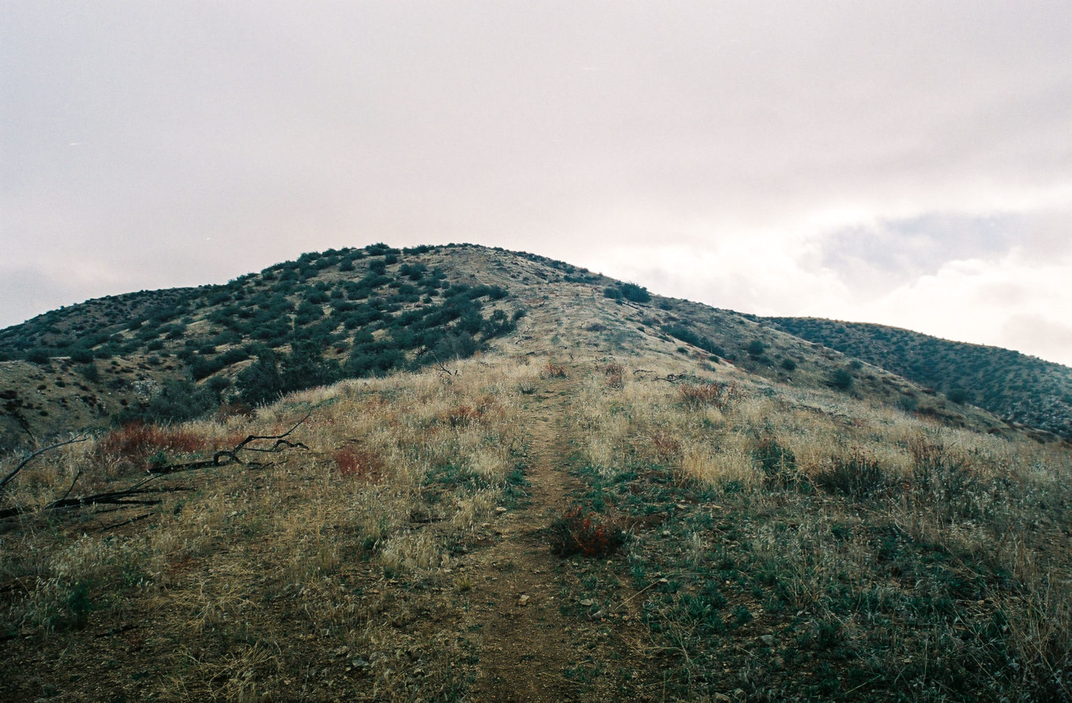 Mount Emma and Old Mount Emma Trail | Modern Hiker